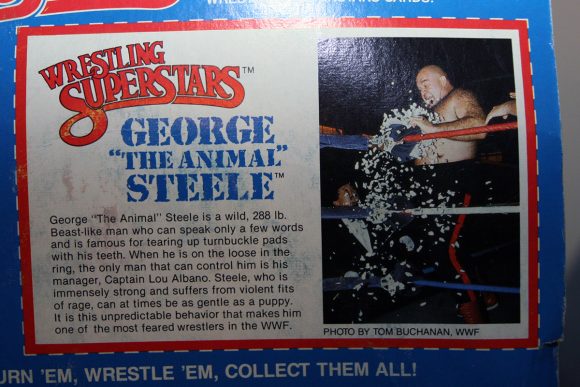 RETRO REVIEW: WWF Wrestling Superstars | Plastic and Plush