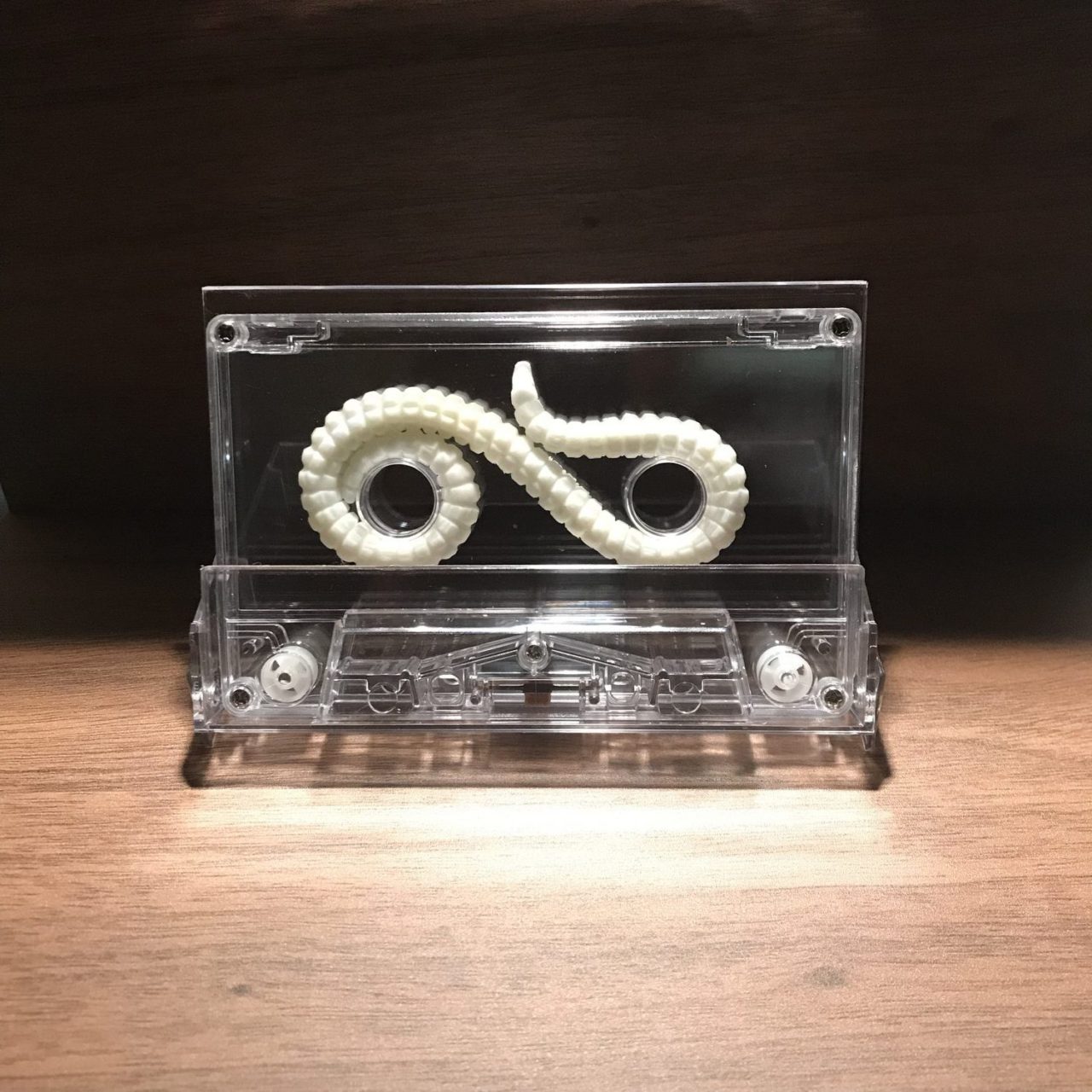 Tapeworm by DMS – Plastic and Plush